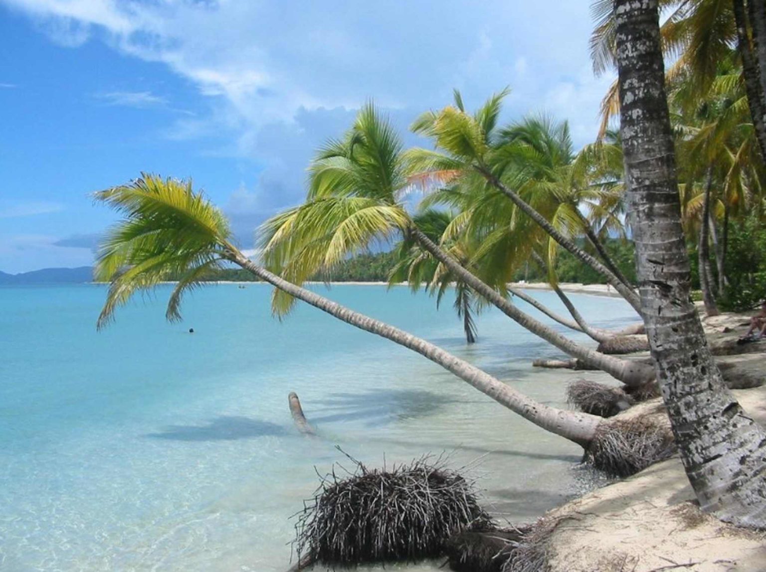 Authentic southern tour of Martinique - Beyond the Beach
